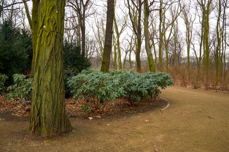 Germany. Treptow Park in Berlin. February 17, 2018 Stock Image - Image ...