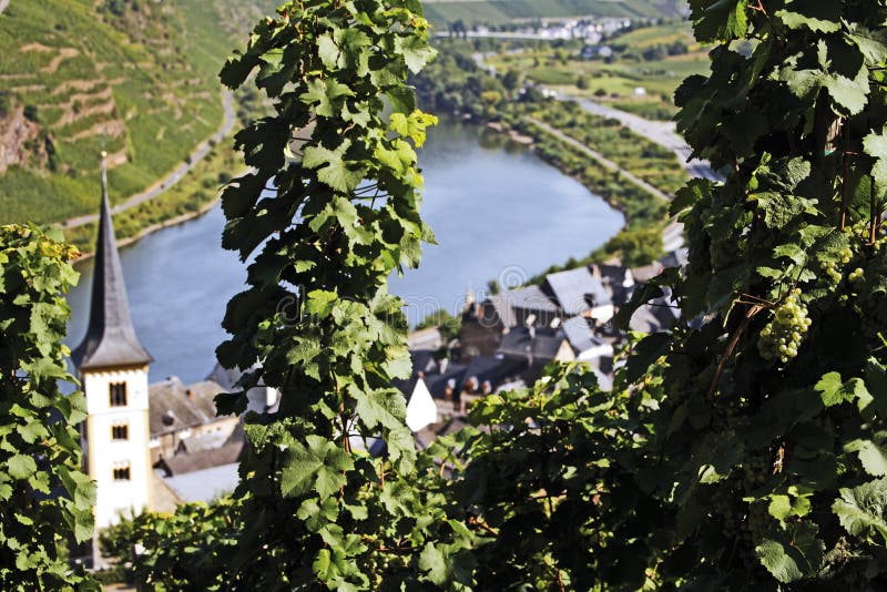 Germany, Bremm, View To Mosel River Stock Image - Image of view, leaf ...