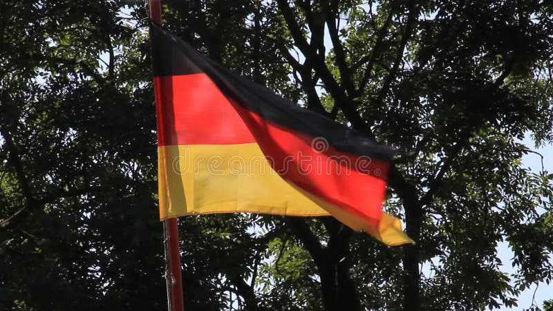 Flag of Germany stock footage. Video of symbol, banner - 70901216