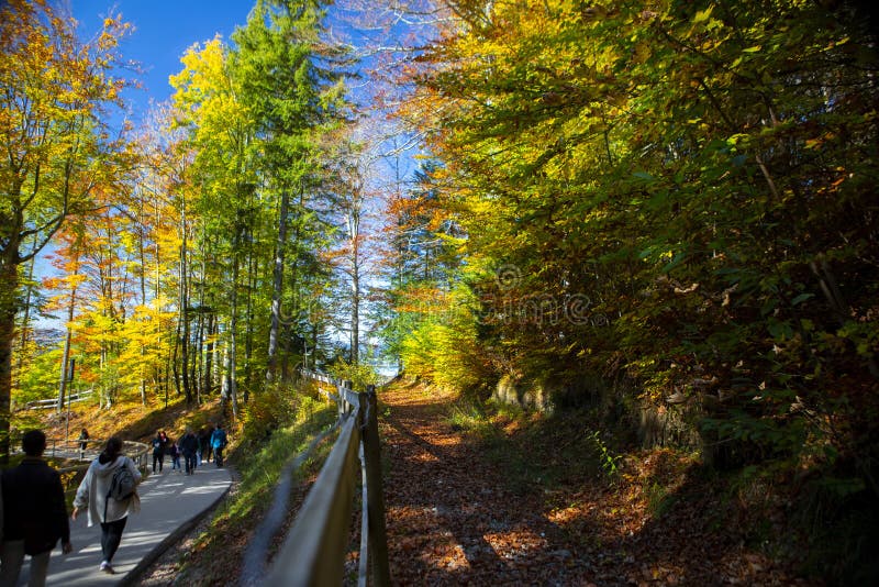 Germany, Neuschwanstein Castle, Autumn, Maples, Forest Trail, Maple ...