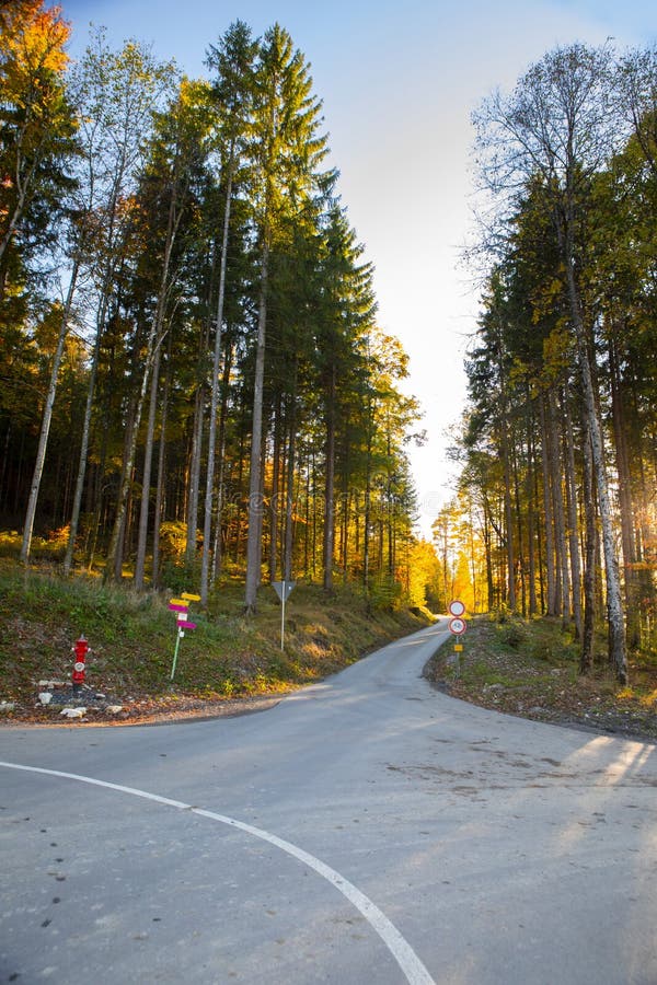 Germany, Neuschwanstein Castle, Autumn, Maples, Forest Trail, Maple ...