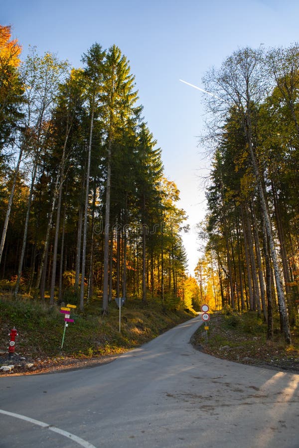 Germany, Neuschwanstein Castle, Autumn, Maples, Forest Trail, Maple ...
