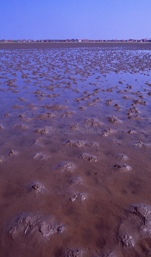 Germany: the Sea-ground of the Watt-Ocean in the North Sea when Stock ...