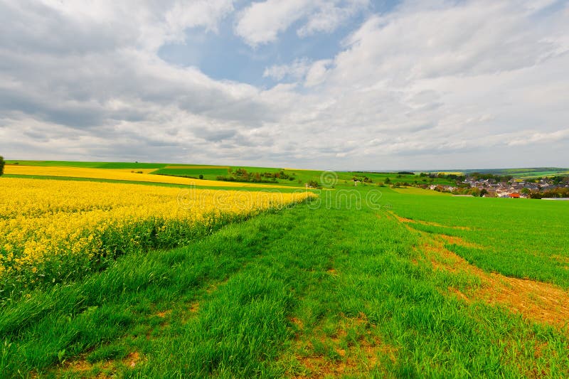 Fields in Germany stock image. Image of land, farming - 40214055