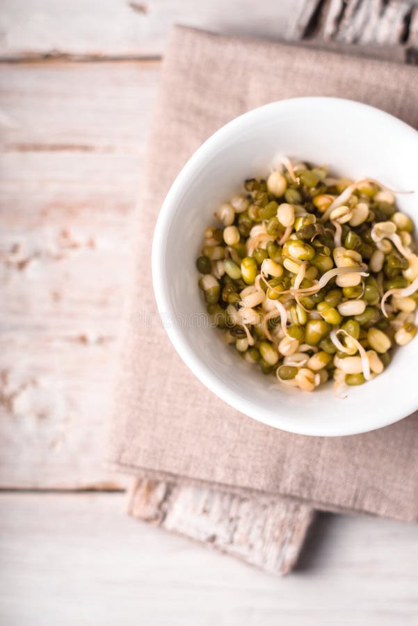 Germinated Beans in Glass and Ceramic Bowls Closeup Stock Photo - Image ...