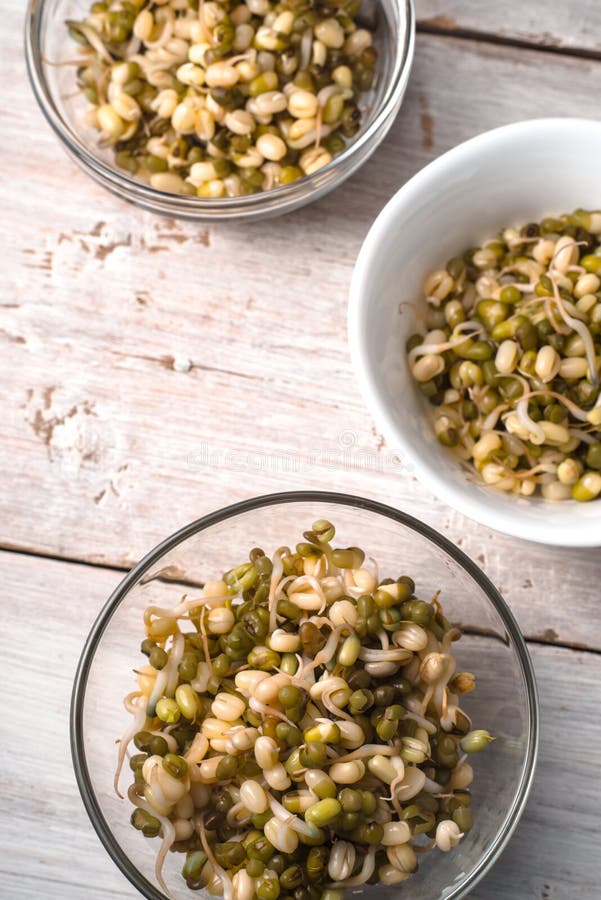 Germinated Beans in Glass and Ceramic Bowls Closeup Stock Image - Image ...