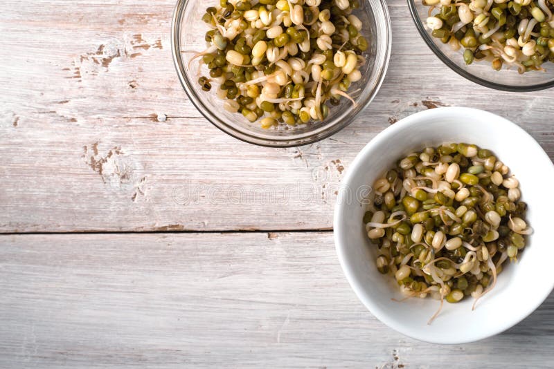 Germinated Beans in Glass and Ceramic Bowls Stock Image - Image of ...