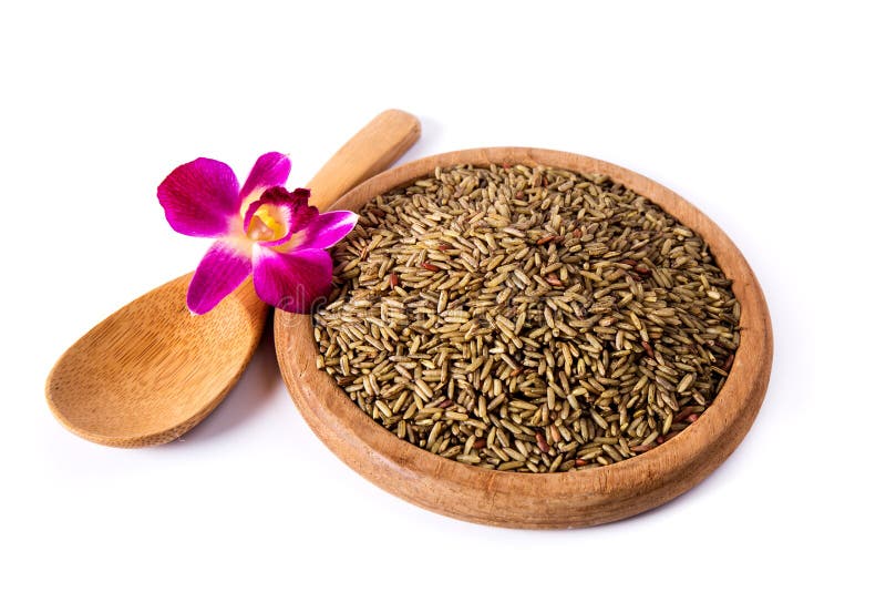 Germinated brown rice stock photo. Image of plant, healthy - 44721870