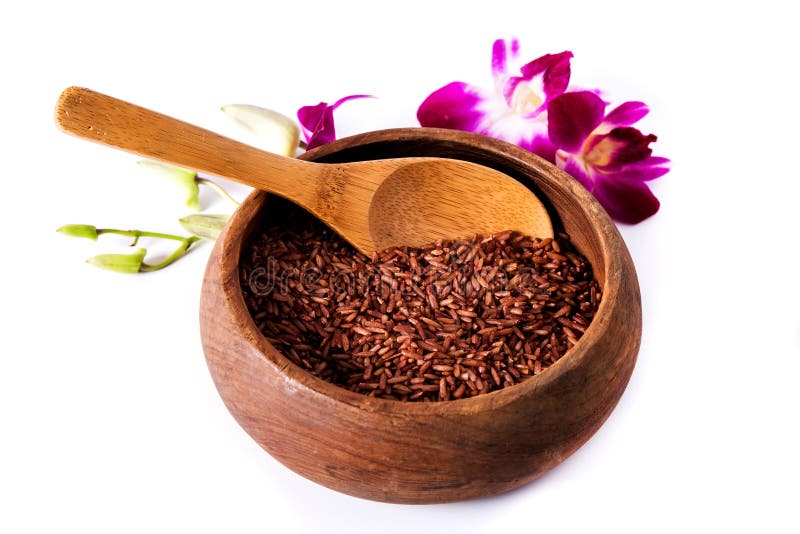 Germinated brown rice stock image. Image of culture, brown - 44721597