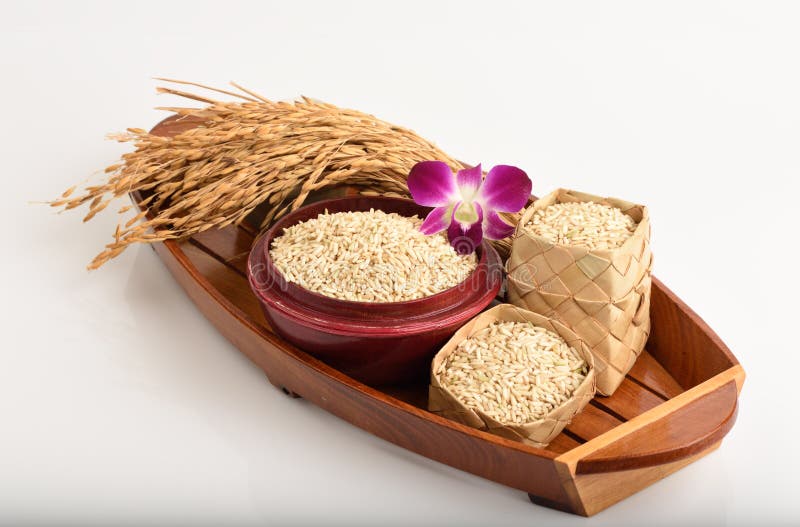 Germinated Brown Rice or GABA-rice. Stock Image - Image of disease ...