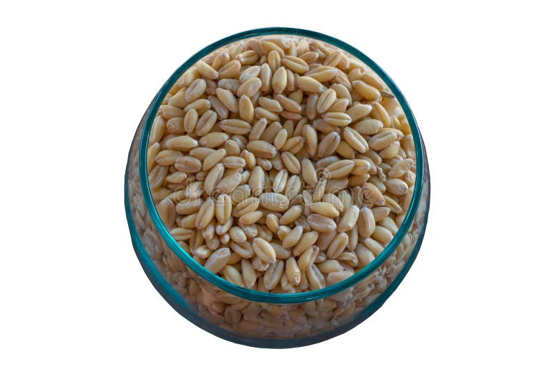 Germinated Brown Rice or GABA-rice, Medicinal Properties. Stock Photo ...
