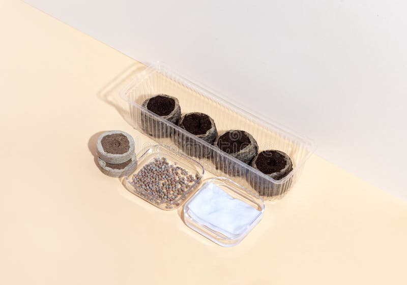 Germinating and Soaking Radish Seeds in a Napkin. View from Above Stock ...