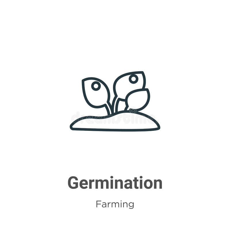 Germination Outline Vector Icon. Thin Line Black Germination Icon, Flat Vector Simple Element ...