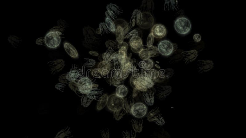 Microbes Multiply are Divided Moving. Stock Video - Video of liquid ...