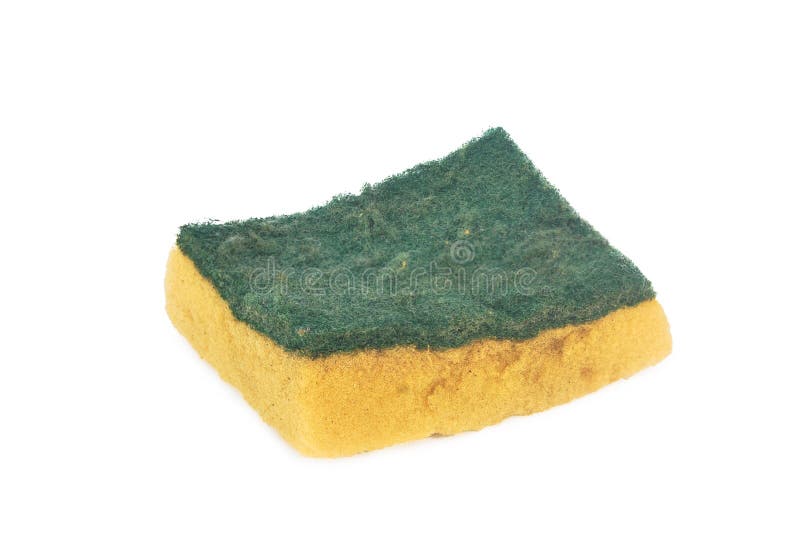 Germs in the Old Sponge.with Clipping Path. Stock Photo - Image of ...