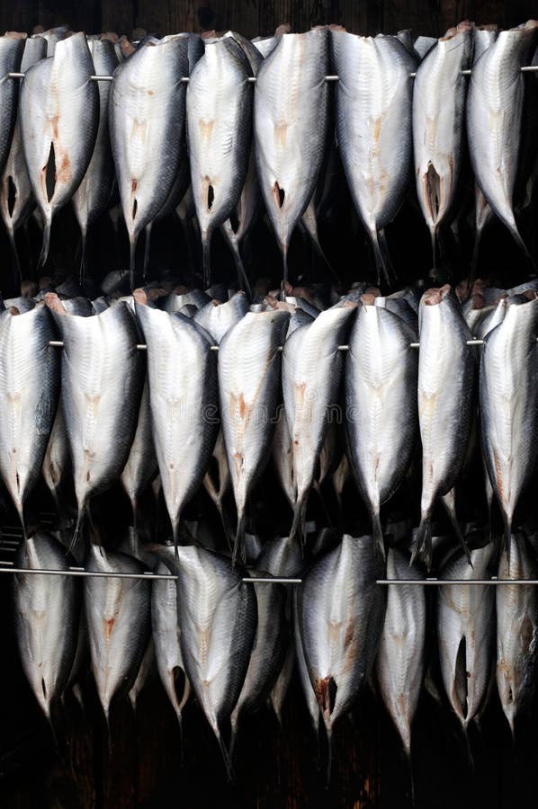Gerookte haringen stock foto. Image of koude, voorgerecht - 121931090