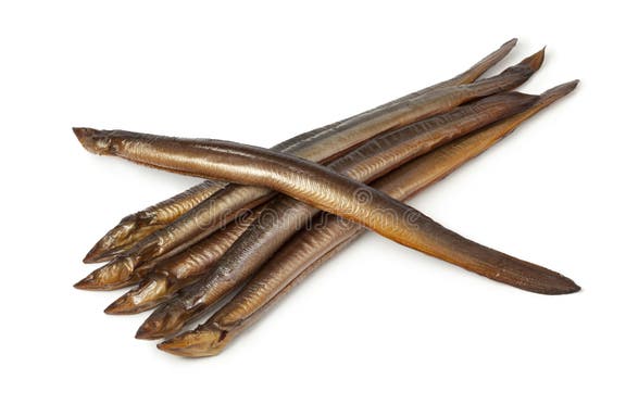 Gerookte paling stock afbeelding. Image of palingen, traditie - 44593985