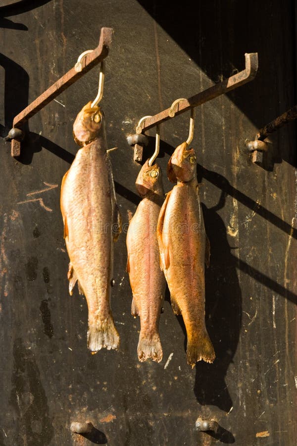 Gerookte zalmforel stock foto. Image of vissen, gerookt - 5158796