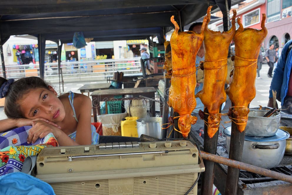 Geroosterde Cuy in De Andes, Ecuador Redactionele Fotografie - Image of ...