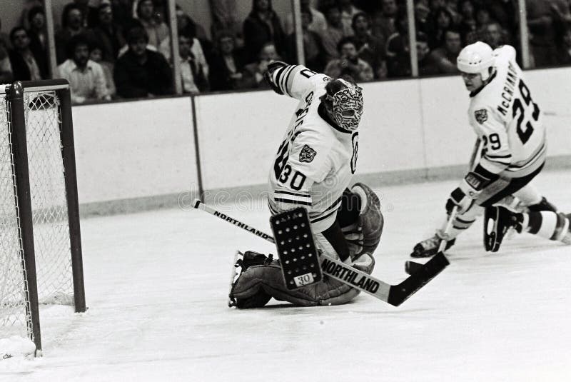 Gerry Cheevers photographie éditorial. Image du glace - 21168637