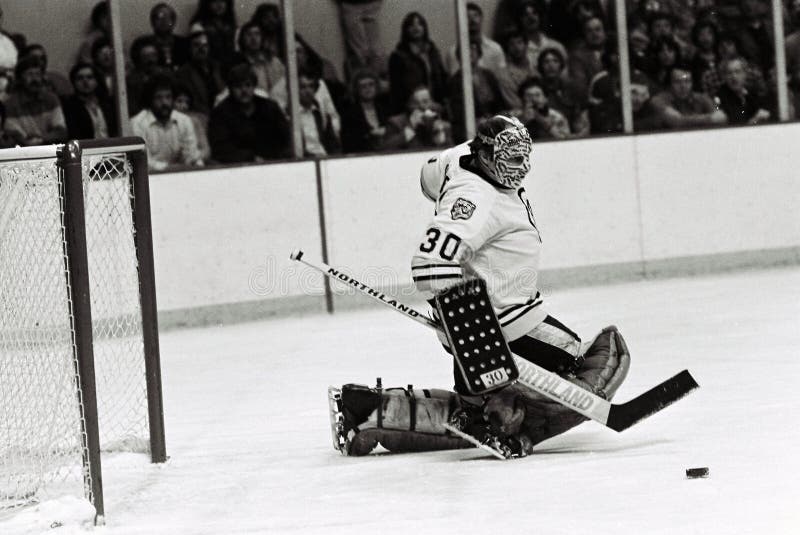 Gerry Cheevers Boston Bruins Editorial Image - Image of professional ...