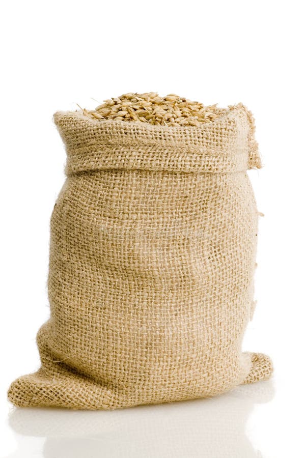 Gerst voor bier stock foto. Image of oogst, bier, gerst - 17536918