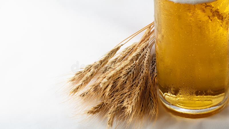 Gerste und Bier stockfoto. Bild von alkoholiker, bestandteil - 15642798
