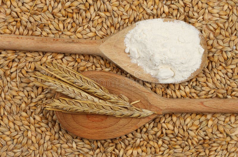 Gerste und Mehl stockfoto. Bild von mehl, gerste, saatgut - 50522582