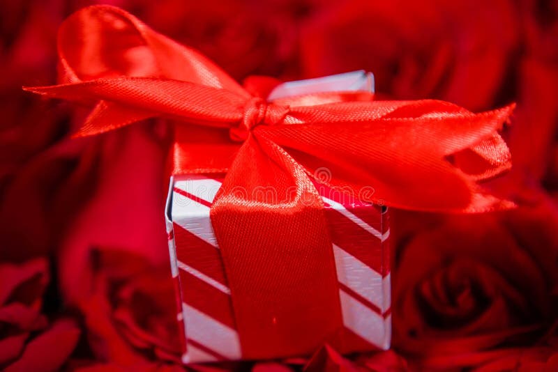 Geschenkbox Mit Einem Roten Bogen Liegt in Den Rosen. Stockfoto - Bild ...