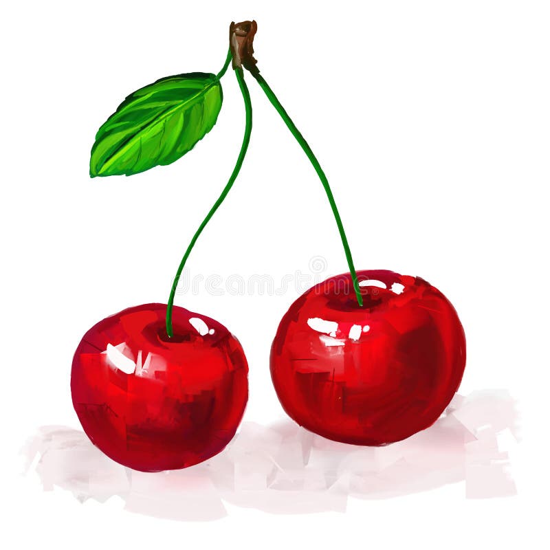 Geschilderde Getrokken Hand Van De Kersen De Vectorillustratie Vector ...