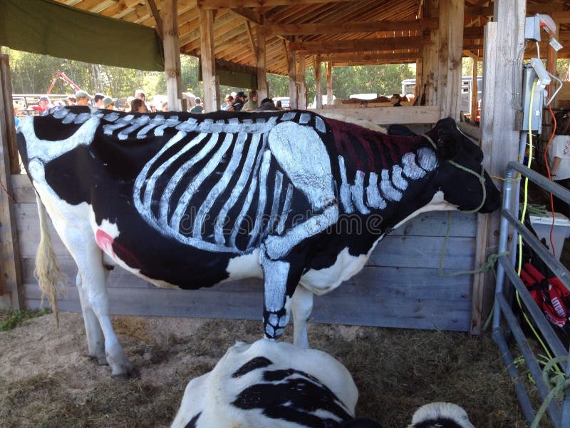 Geschilderde Koe redactionele stock afbeelding. Image of ...