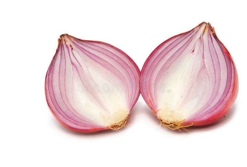 Geschnittene Schalotte stockbild. Bild von zwiebel, bestandteil - 27922623