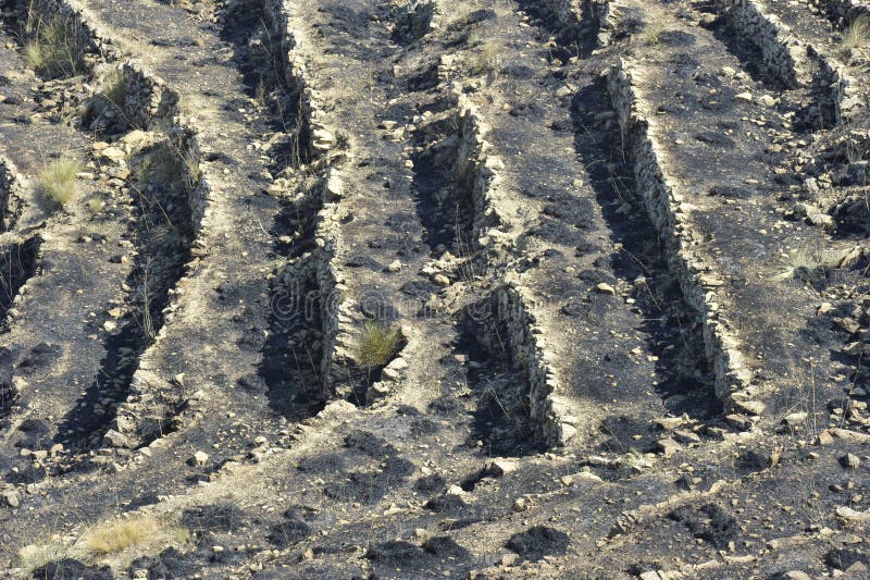 Rode geschroeide aarde stock afbeelding. Image of aarde - 35530615