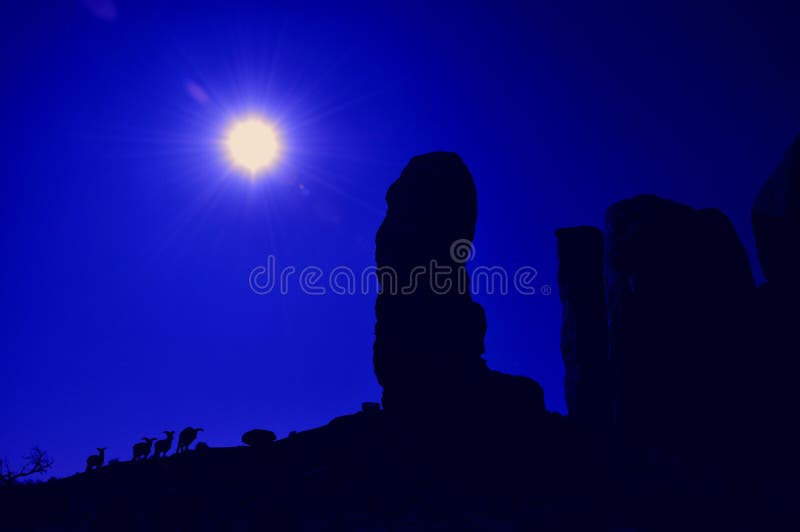 Gekleurde rotsen en dieren stock foto. Image of woestijn - 11989456