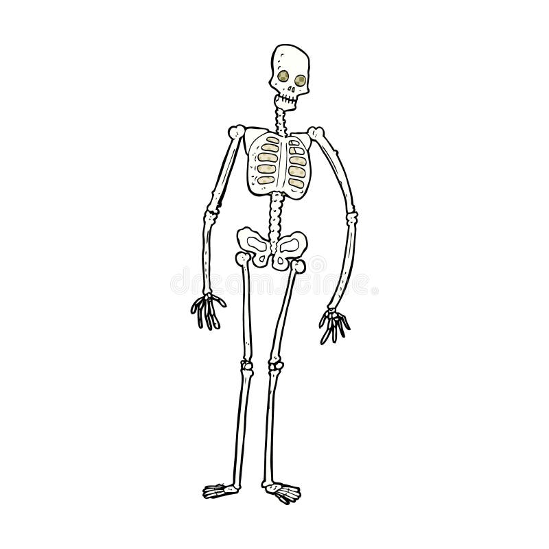 Gespenstisches Skelett Der Komischen Karikatur Stock Abbildung ...