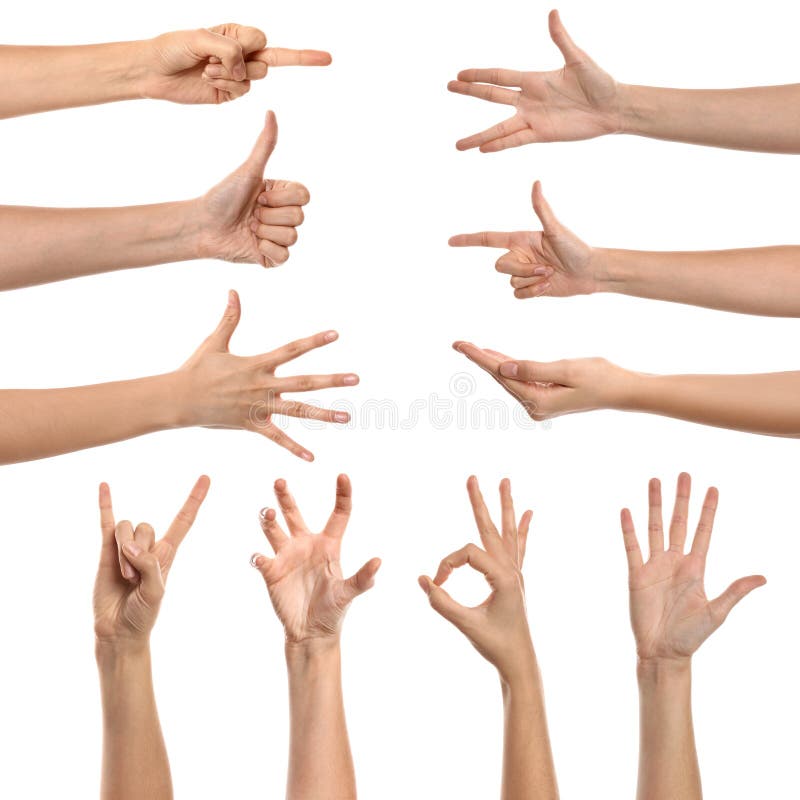 Gesticular Las Manos Femeninas En El Fondo Blanco Foto De Archivo