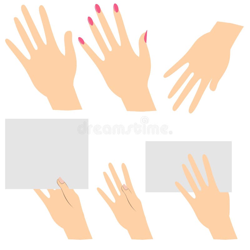 Gesticulation. Women S Hands Hold an Announcement Stock Vector ...