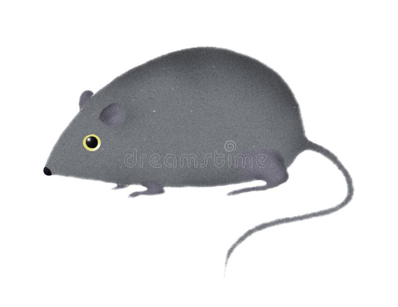 Gestileerde muis of rat stock foto. Image of grazen, illustratie - 3296530