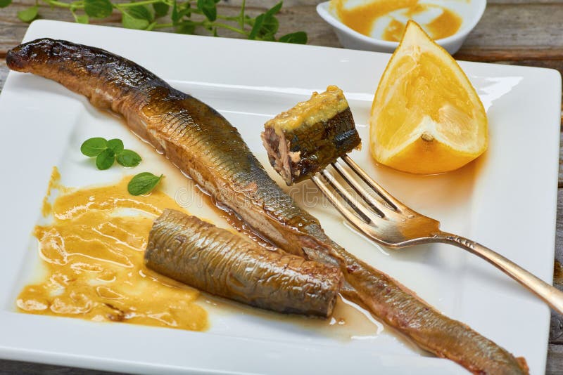 Lamprei stock foto. Image of vissen, tanden, vers, product - 51681254