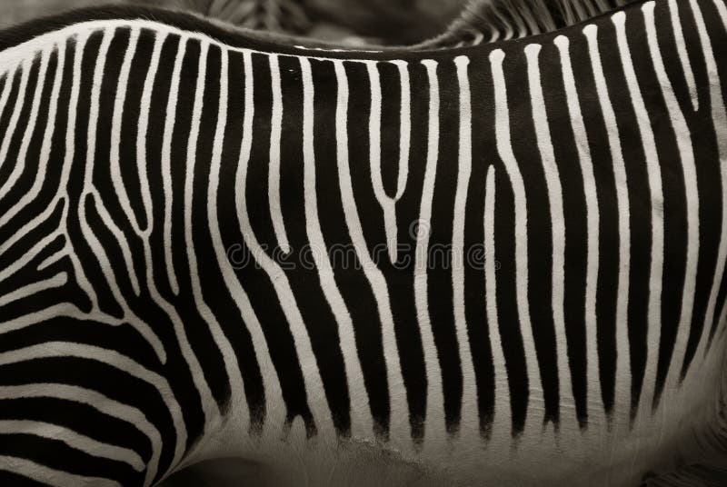 Gestreepte strepen stock afbeelding. Image of samenvatting - 7502223