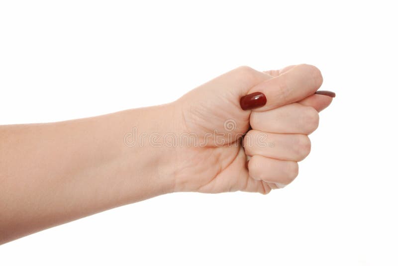 Snook No Background Stock Photos - Free & Royalty-Free Stock Photos ...