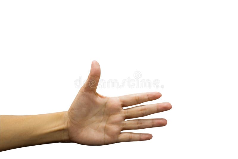 Gesture of the hand stock photo. Image of blank, girl - 81039044