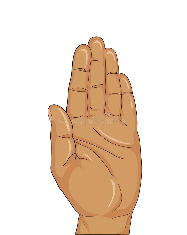 Gesture Open Palms. Hand Gives or Receives Stock Vector - Illustration ...