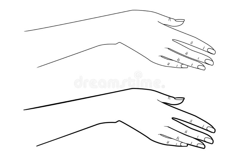 Gestures. Graceful Hand of a Woman. Graphic Line Drawing Stock Vector ...
