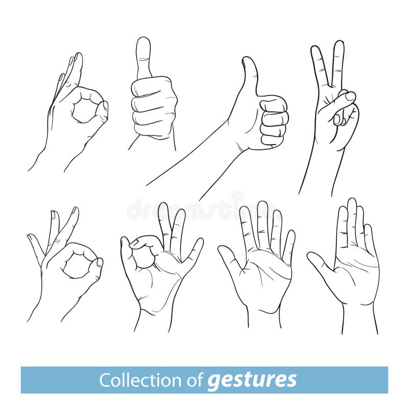 Gestures of human hands stock vector. Illustration of hand - 23318002