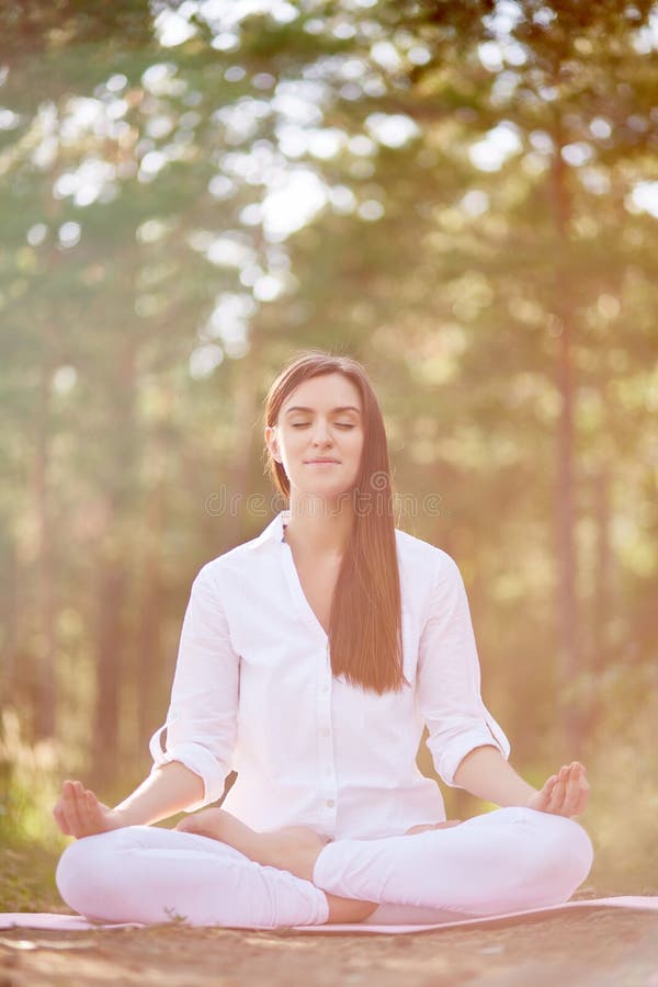 Gesunder Lebensstil stockbild. Bild von meditation, lotos - 63153321