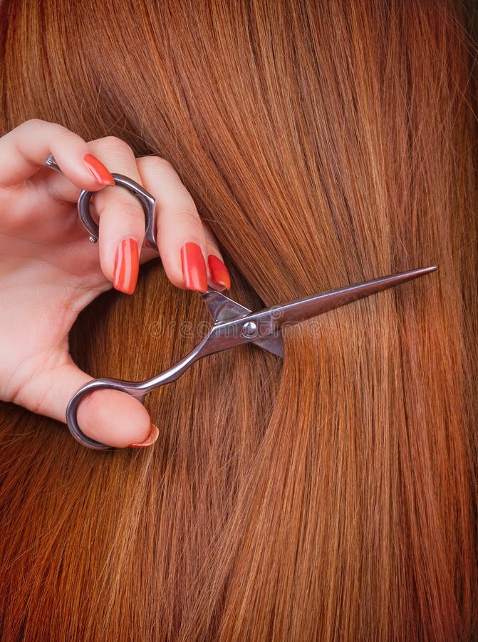 Brown-Haar stockfoto. Bild von haar, lang, gesundheit - 29923436