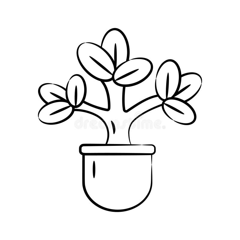 Get a Glimpse Our Hand Drawn Icon of Jade Plant Stock Illustration ...