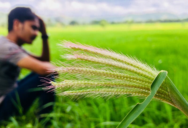 Get a relaxing moment stock image. Image of clear, relax - 131993179