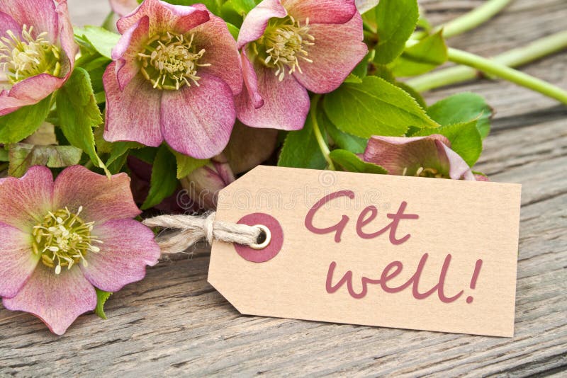 Get well stock image. Image of flower, violet, board - 31005671